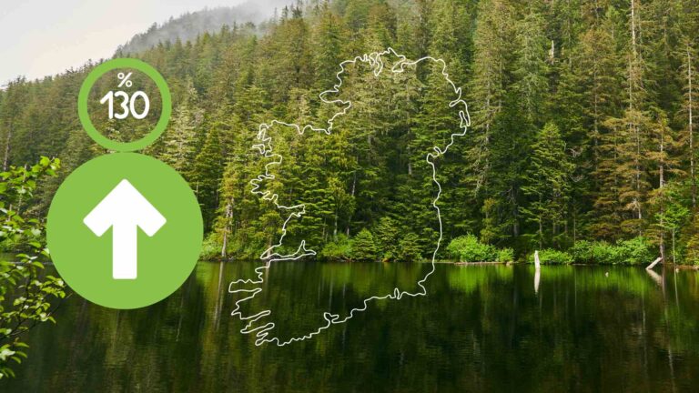 Forestry planting up 130%
