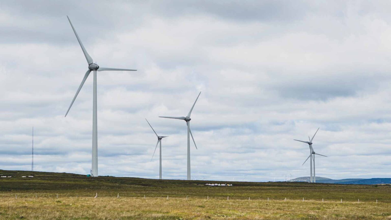 Five counties drive Ireland’s wind energy output