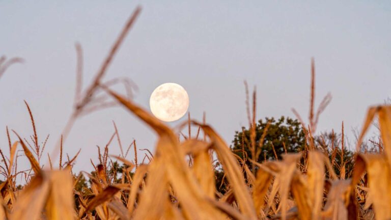 Harvest Supermoon to Light Up Irish Skies
